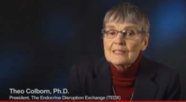 Pioneer of Environemental Research | Theo Colborn